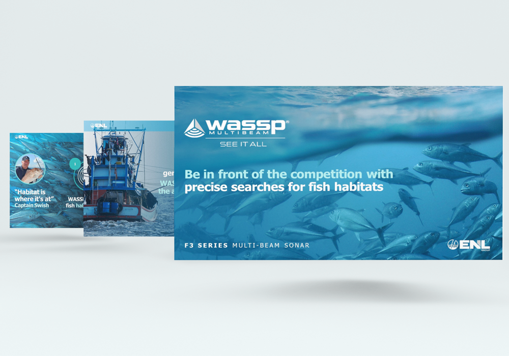 WASSP PowerPoint - Amanda Design Freelance Designer